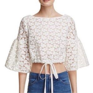 Milly | Tops | Nwot Milly Lydia Floral Embroidered Lace White Crop Top ...